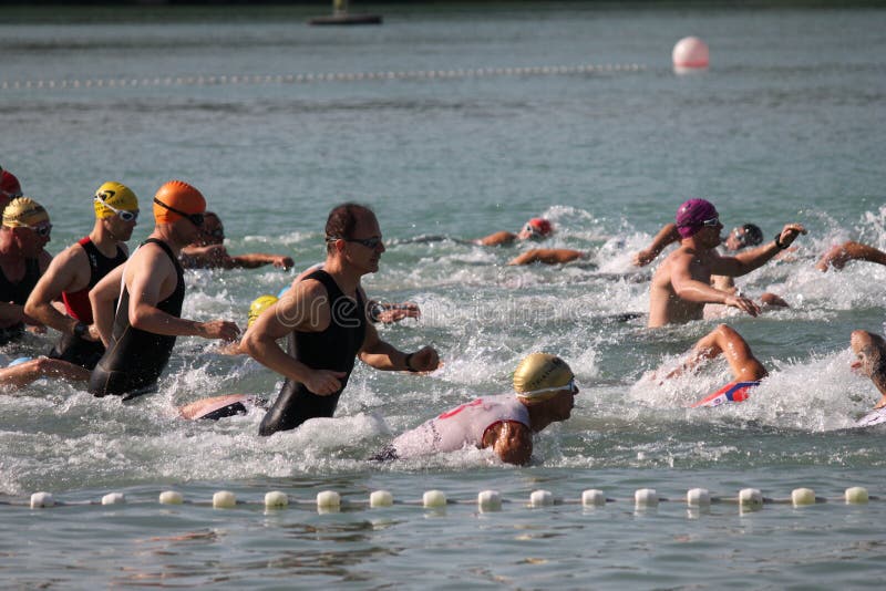 Triathlete Swimmers at Starting Line Editorial Photo - Image of line ...