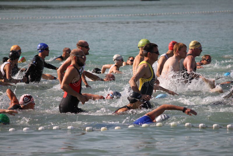 Triathlete Swimmers at Starting Line Editorial Photo - Image of line ...
