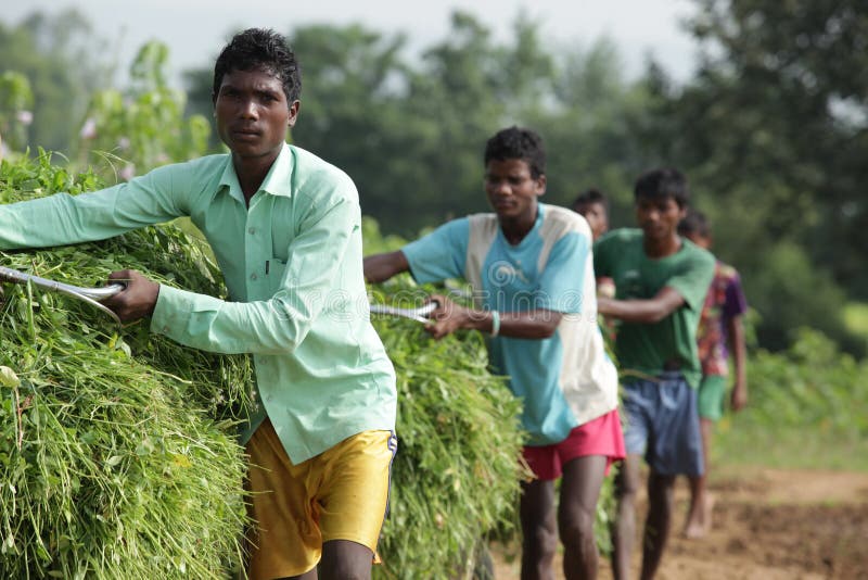 Boys at work stock image. Image of boys, game, home, indoors - 21293083