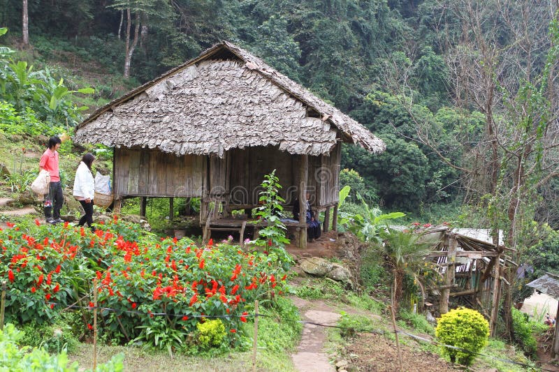 Tribal house editorial photo. Image of nature, amazing - 47677466