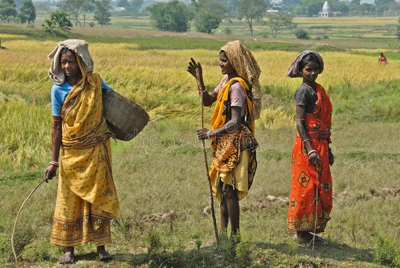 Tribal Poverty in India editorial image. Image of asia - 21856295