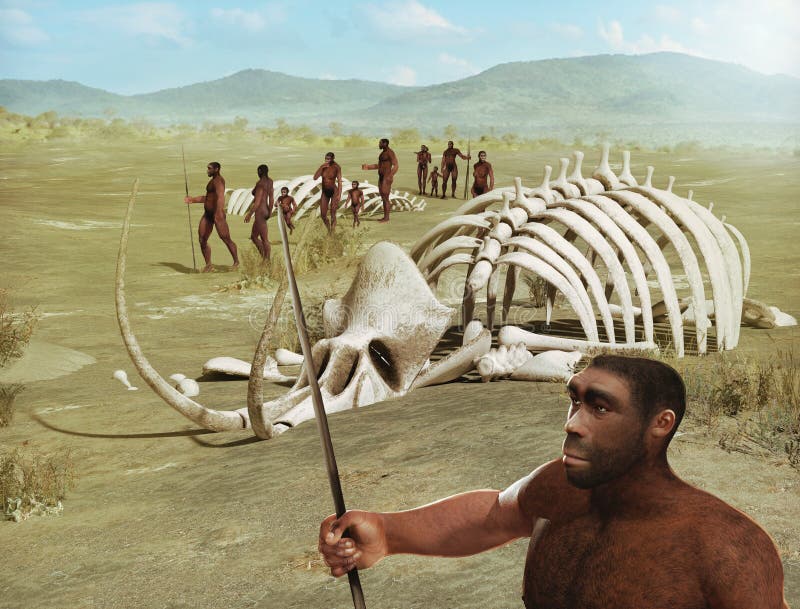 Homo Erectus Pictures