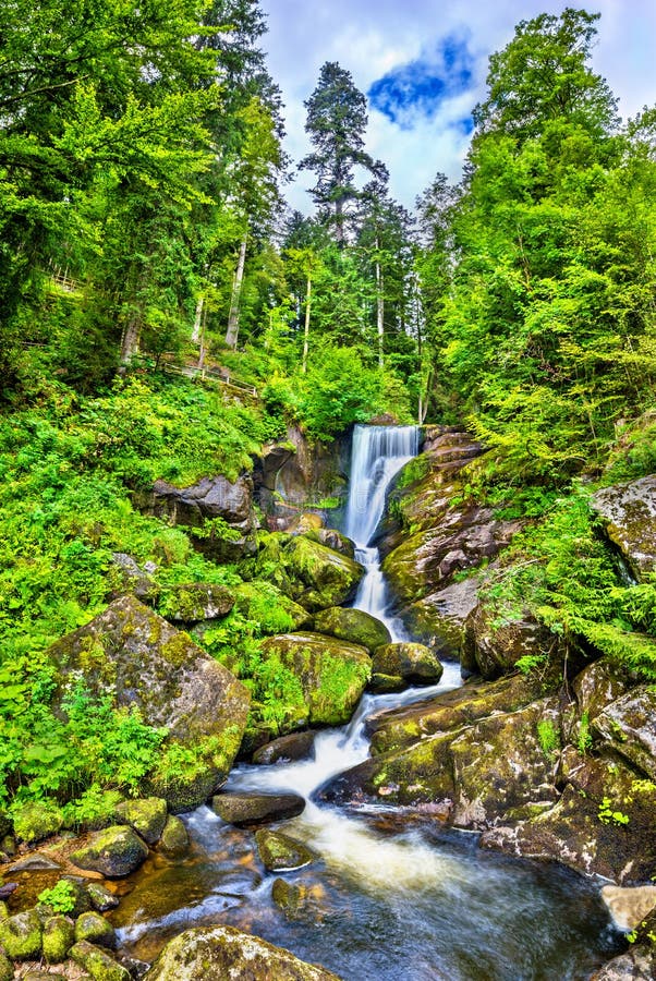 Triberg Falls, One of the Highest Waterfalls in Germany Stock Image ...
