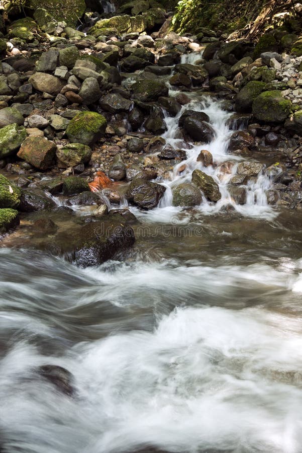 A Tributary Flowing into the Mississippi River in Minneapolis, M Stock ...
