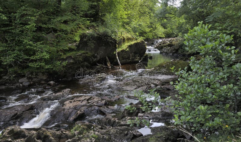 Tributory to River Spean stock photo. Image of horizontal - 49160926