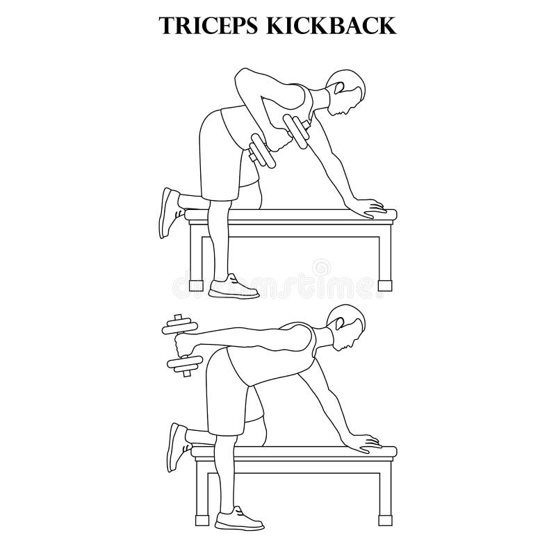Triceps Workout Stock Illustrations – 1,755 Triceps Workout Stock ...