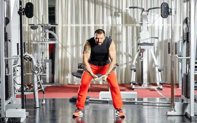 Triceps Workout at Cable Machine Stock Image - Image of male, muscular ...