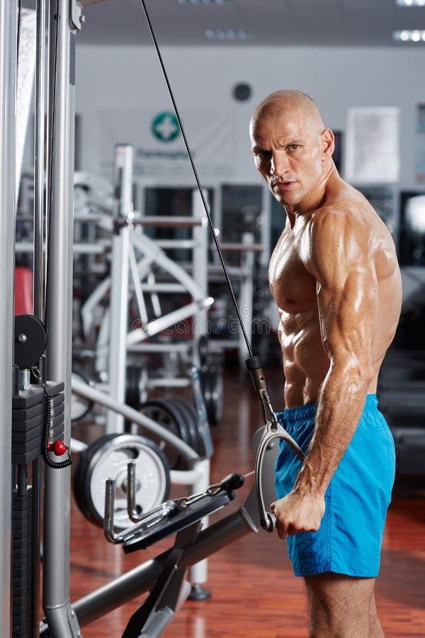 Triceps Workout at a Cable Machine Stock Image - Image of exercising ...