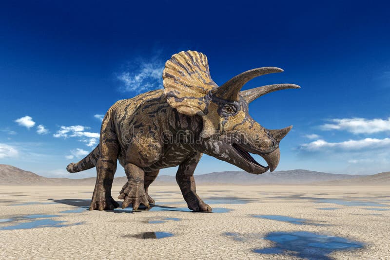 Triceratops on the Desert Walking after Rain Side View Stock ...