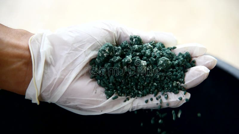 Trichoderma Harzianum in the Hand Stock Footage - Video of ...