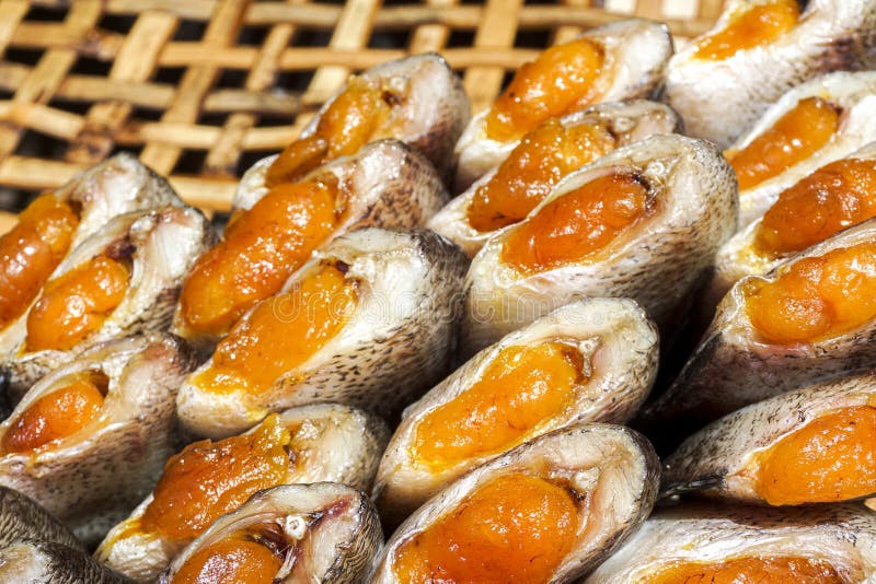 Trichogaster pectoralis stock photo. Image of market - 224486732