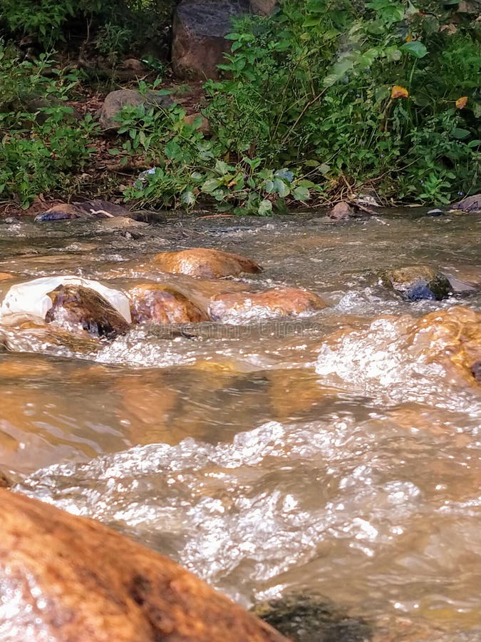 Trichy stock photo. Image of puliyncholai, trichy, river - 137074154