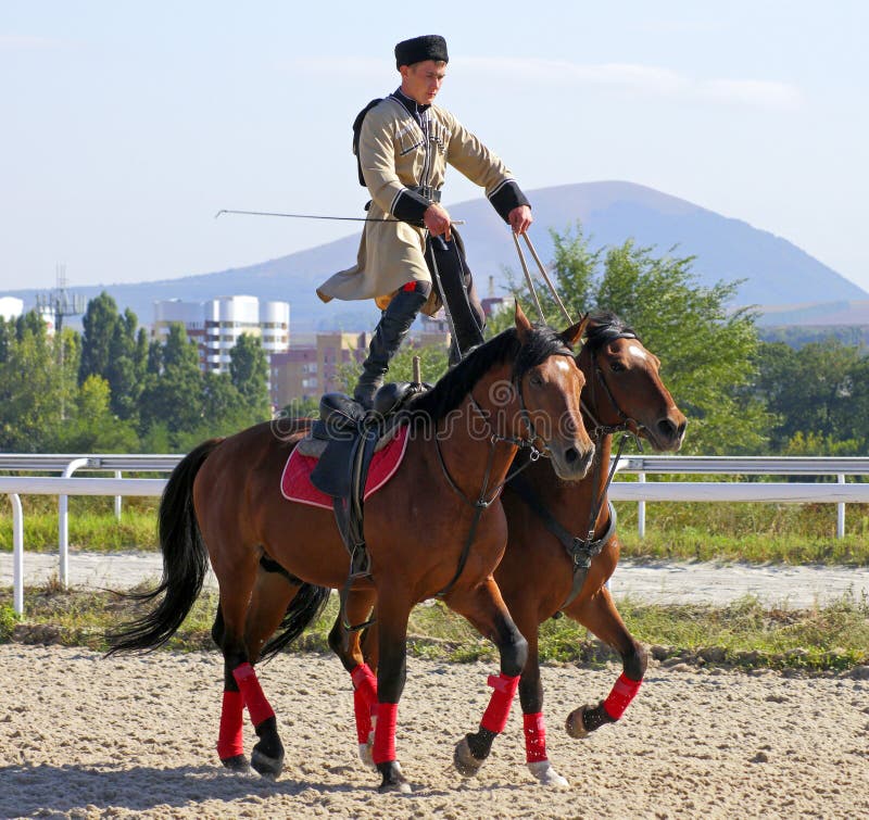 Trick riding stock photo. Image of closeup, animal, leisure - 77299076