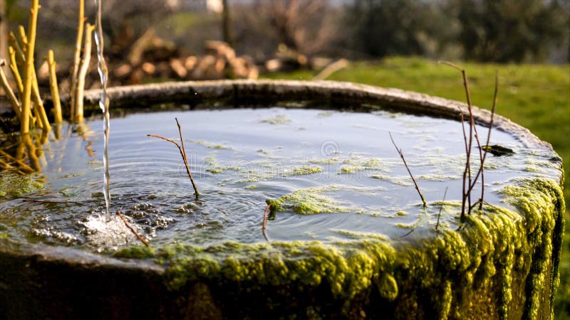 Water Trickle from the Fountain Stock Image - Image of water, fontaine ...