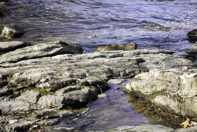 Trickle stock photo. Image of spring, water, moss, leaves - 90062716