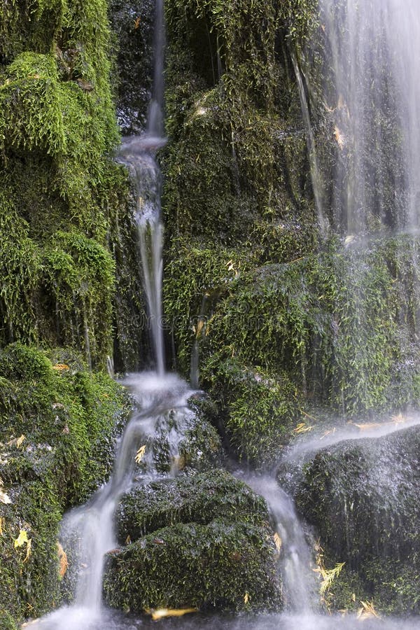 Trickling Water Over Moss Covered Rocks. Stock Image - Image of creek ...