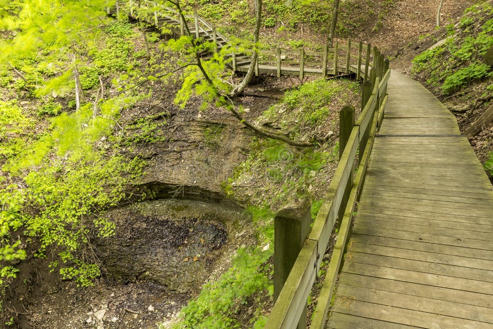 Trickling Waterfall stock photo. Image of trees, trickle - 73350208