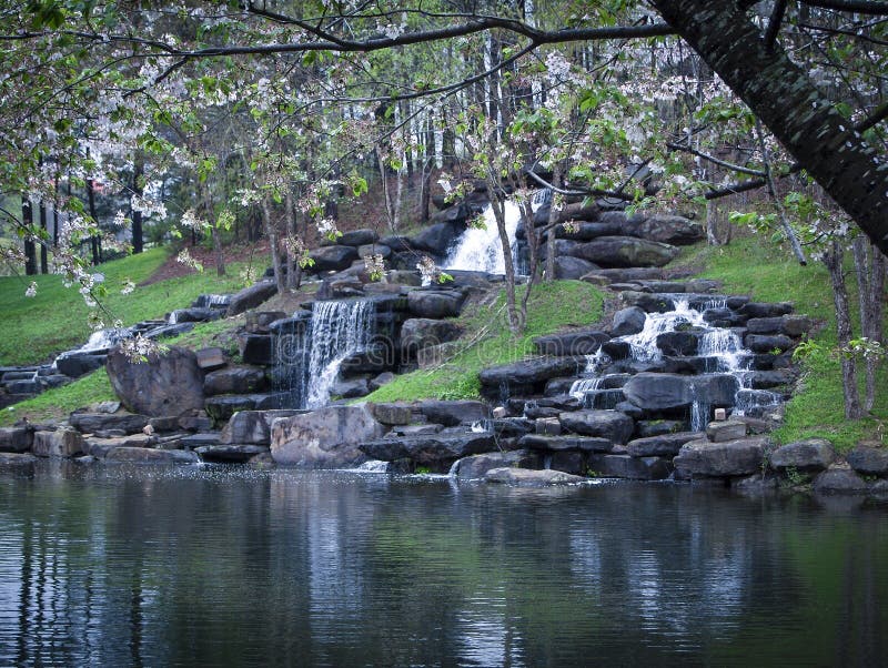 Trickling Waterfall in Peaceful Secluded Woodland Forest. Stock Photo ...