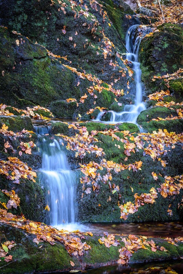 Trickling waterfall stock image. Image of moss, yellow - 66161323