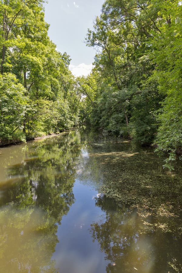 Tricrate Forest Labyrinth Landscape, Ukraine. Stock Photo - Image of ...