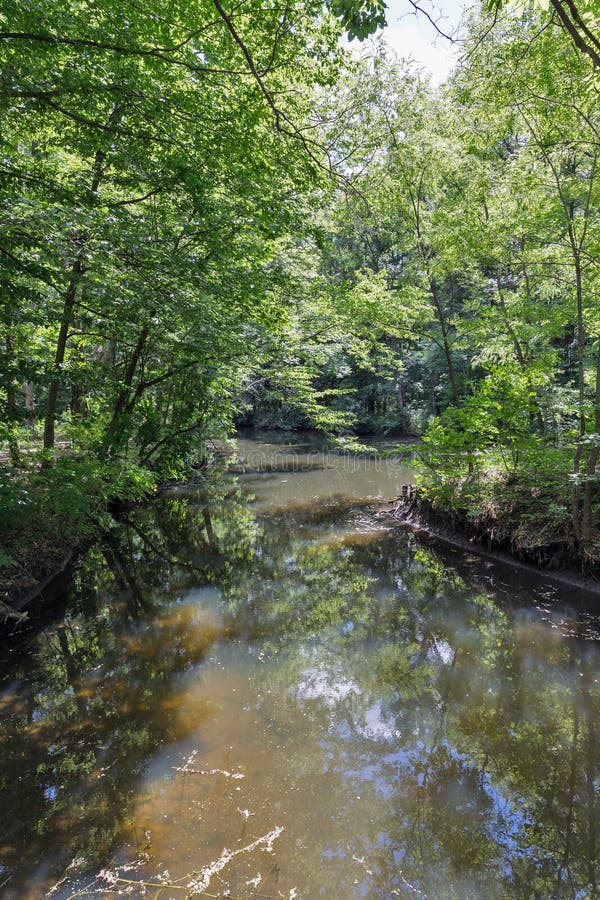 Tricrate Forest Labyrinth Landscape, Ukraine. Stock Image - Image of ...