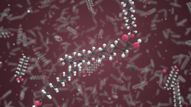 Tridecanoic Acid Molecule, Isolated Molecular Model. Looping 3D ...