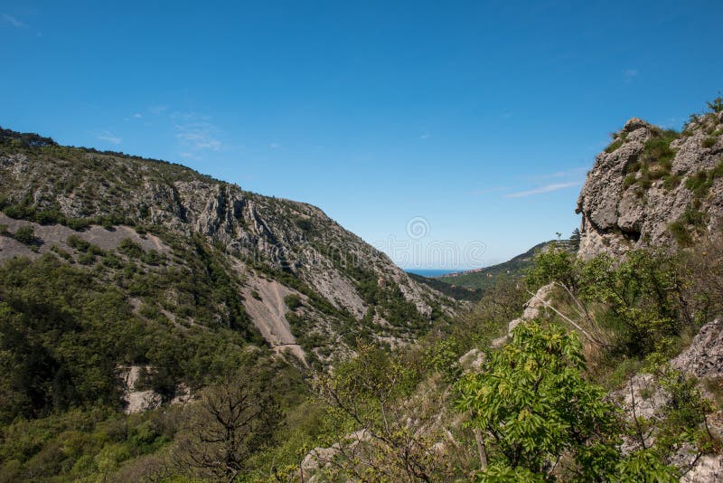 Trieste stock image. Image of beautiful, wood, trieste - 71148271