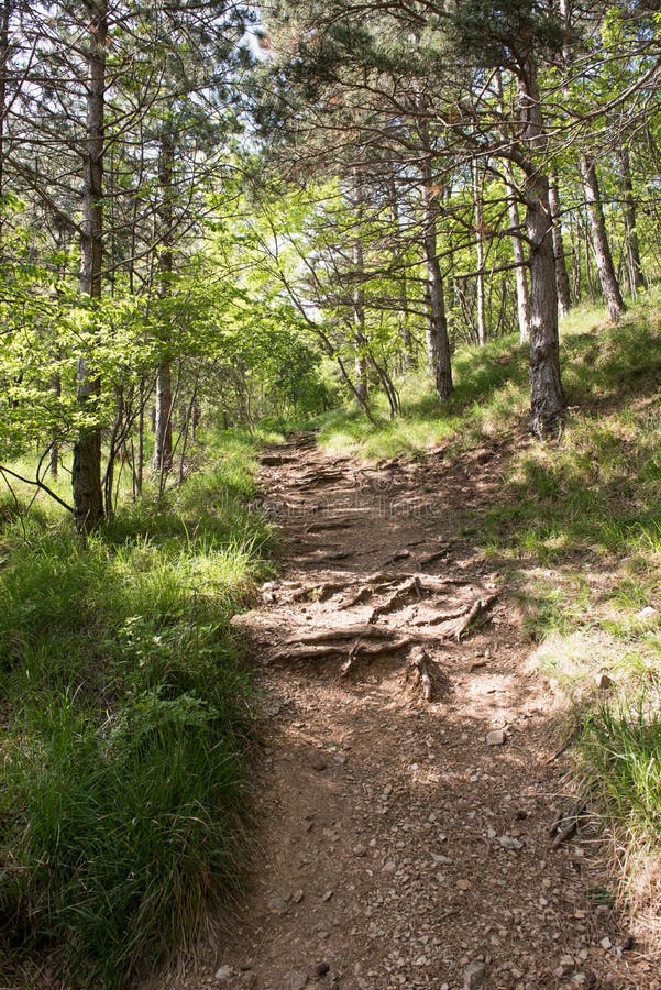 Trieste stock image. Image of friuli, stone, walk, hike - 71194045
