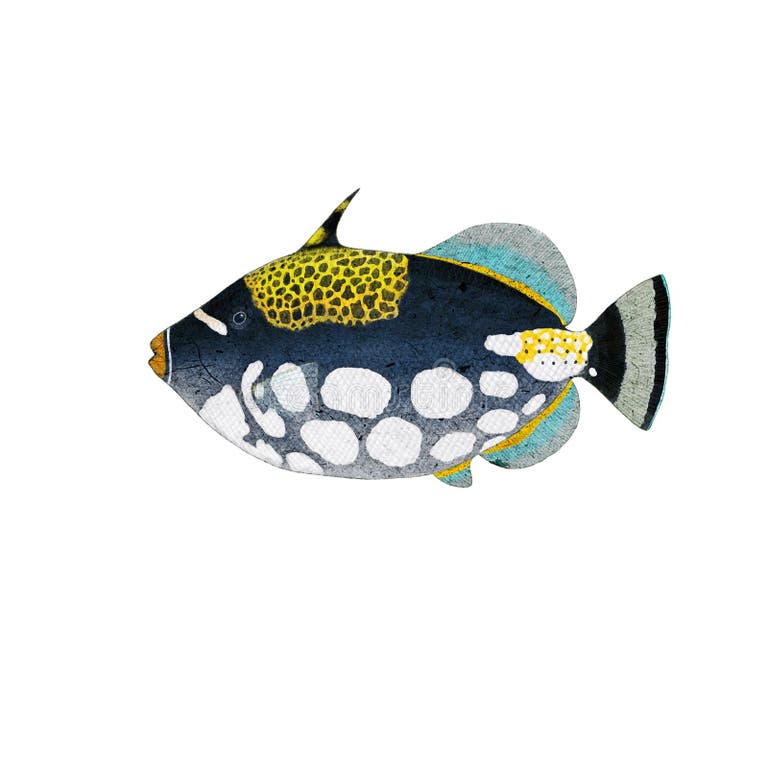 Triggerfish stock illustration. Illustration of coral - 49403424
