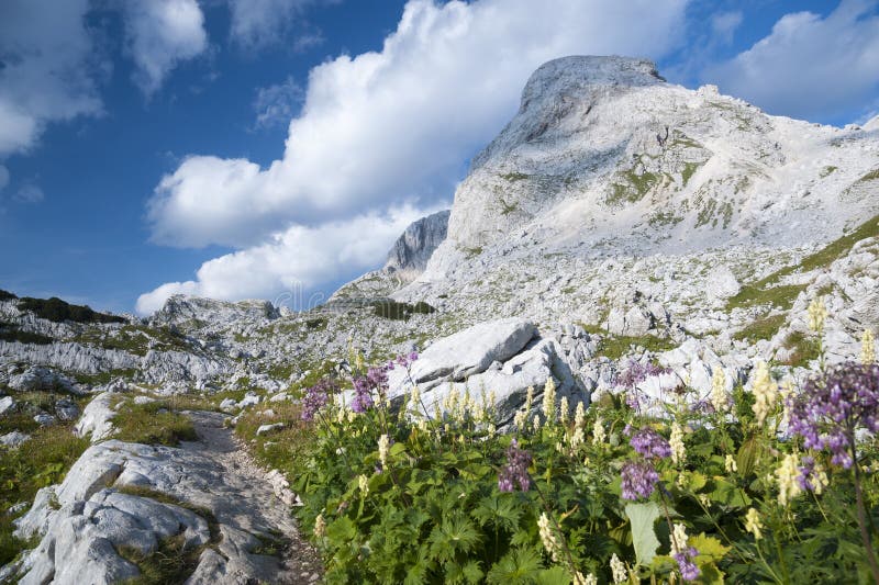 Triglav mountain house stock image. Image of summer, triglav - 99288029