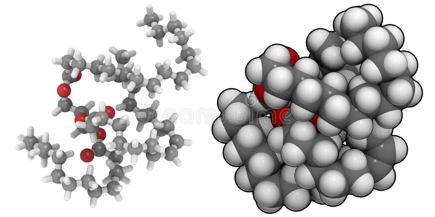 Triglyceride Stock Illustrations – 834 Triglyceride Stock Illustrations ...