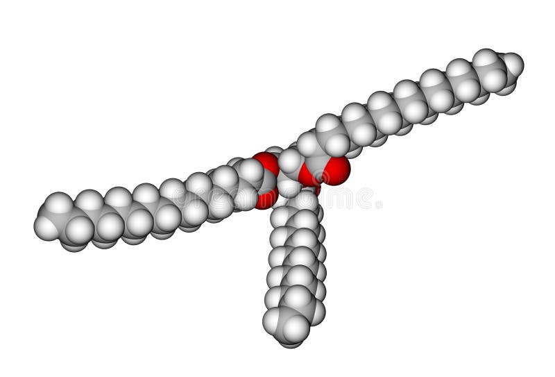 Triglyceride Molecular Structure Stock Illustration - Illustration of ...