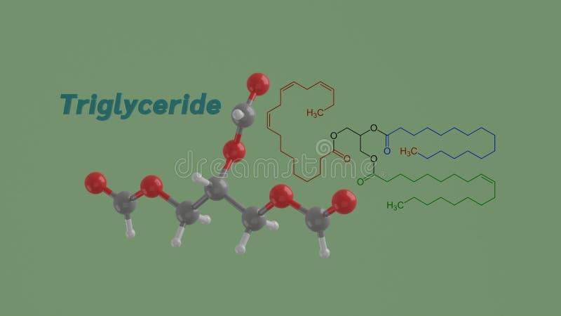 Triglyceride Science Molecule 3D Render Illustration Stock Illustration ...