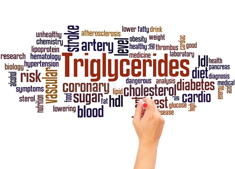 Triglycerides Word Cloud Hand Writing Concept Stock Illustration ...