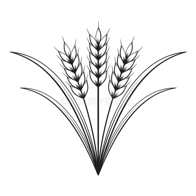 Trigo gráfico, vetor ilustração do vetor. Ilustração de vetor - 96061751