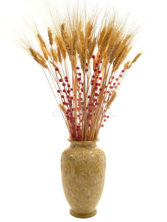Trigo y bayas en florero imagen de archivo. Imagen de bayas - 550425