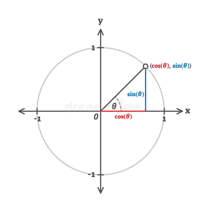 Trigonometry Cosinus, Sinus and Tangents Example Diagram Stock Vector ...