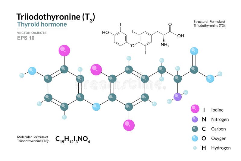 Triiodothyronine T3 Thyroid Hormone. Structural Chemical Formula and 3d ...