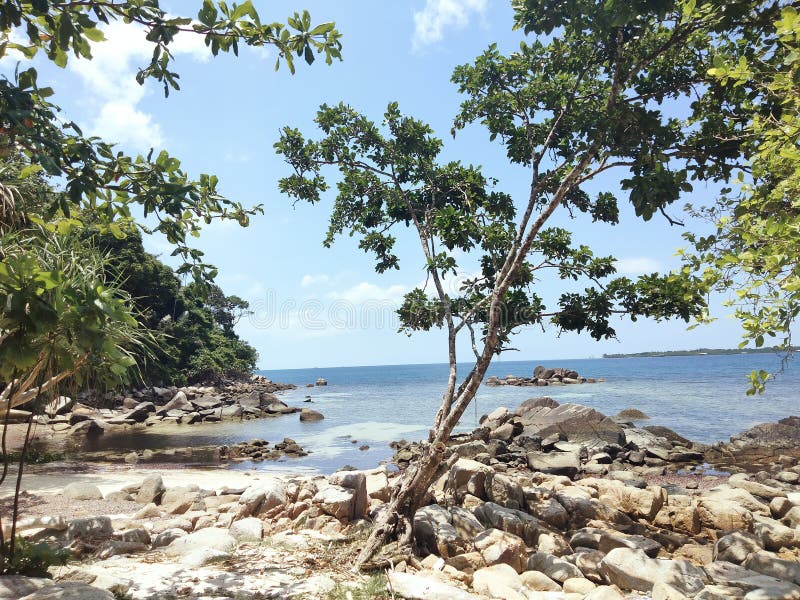Trikora Beach Bintan Island Stock Image - Image of beachbintan, bintan ...