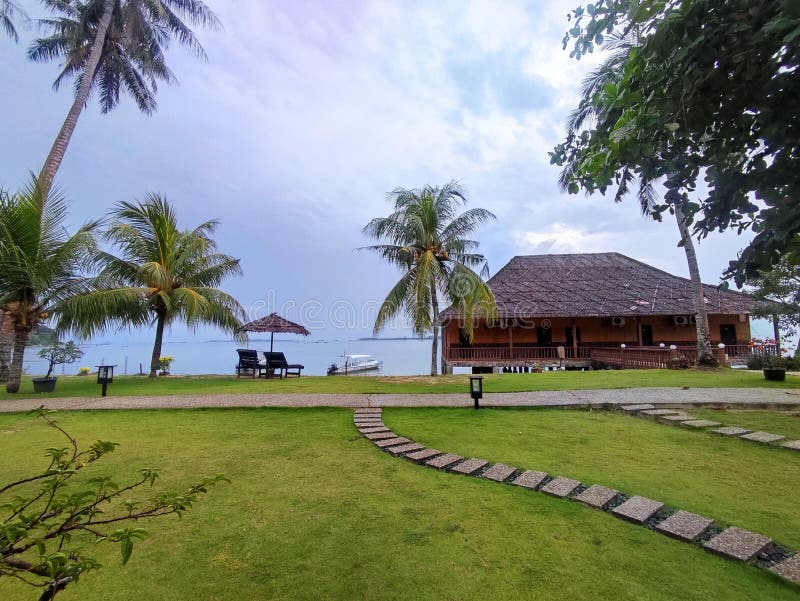 Trikora Beach in the Morning Stock Photo - Image of tree, vacation ...