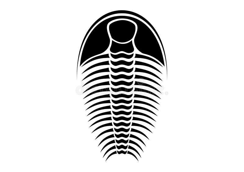 Trilobita Ilustrações, Vetores E Clipart De Stock – (239 Stock ...