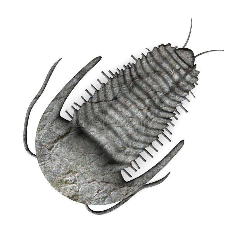 Trilobite Stock Illustrations – 836 Trilobite Stock Illustrations ...