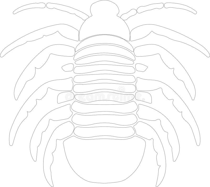 Trilobite Outline Silhouette Generative Ai Stock Vector - Illustration ...