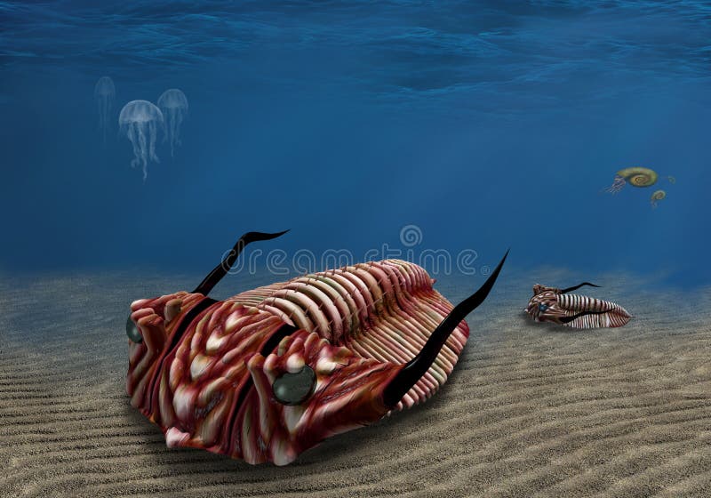 Trilobite stock illustration. Illustration of extinct - 39977222