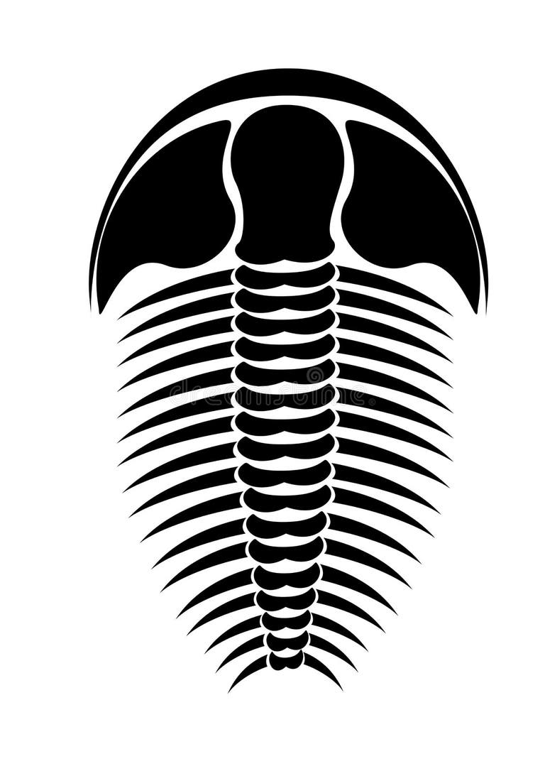 Trilobite Stock Illustrations – 890 Trilobite Stock Illustrations ...