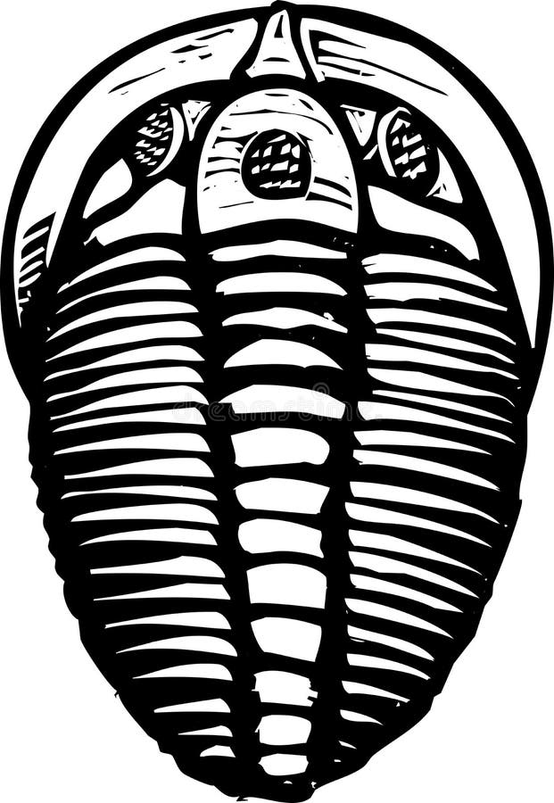 Simple Trilobite Drawing