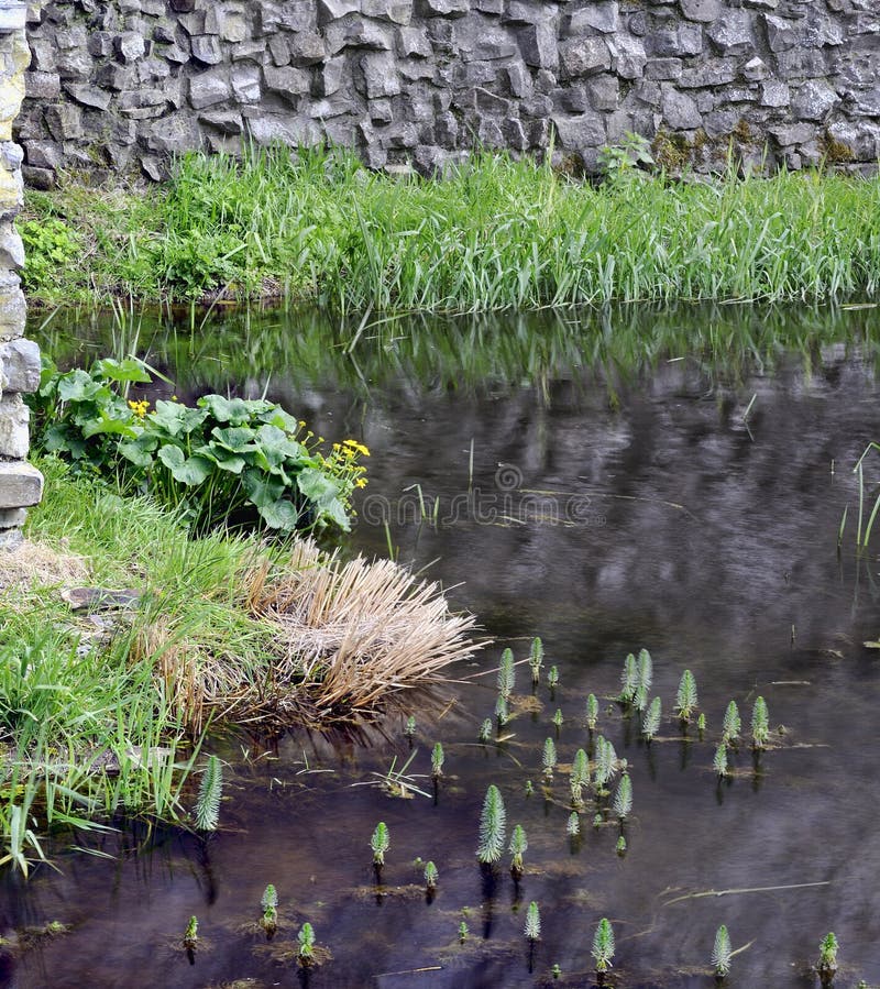 Trim castle wall and moat. stock image. Image of reflections - 24795257