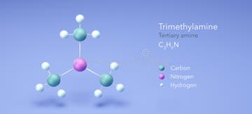 Trimethylamine Molecule, Molecular Structures, Tertiary Amine, 3d Model ...