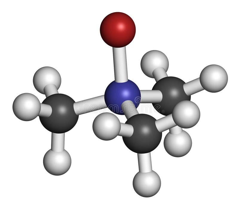 Trimethylamine Molecule, Molecular Structures, Tertiary Amine, 3d Model ...