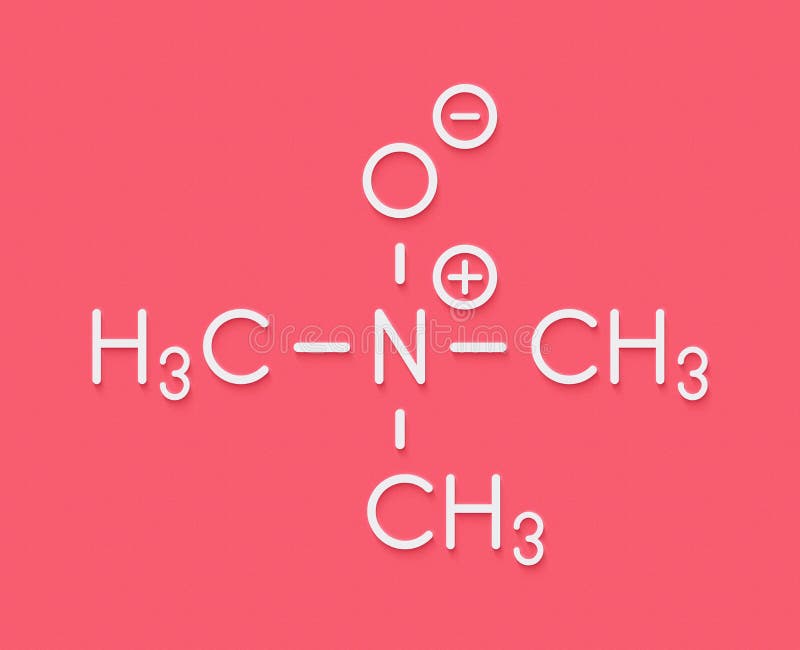 Trimethylamine Molecule, Molecular Structures, Tertiary Amine, 3d Model ...